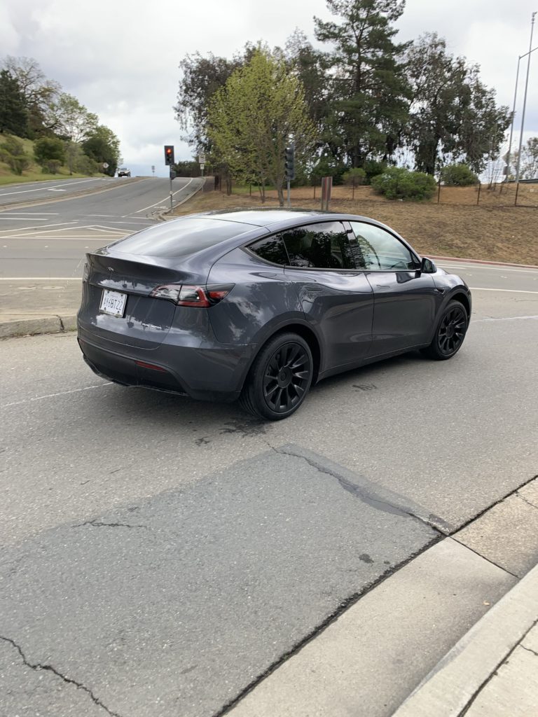 Tesla Model Y in the Wild | NextBigFuture.com