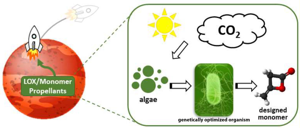 Gene Edited Algae and Microbes to Make Fuel on Mars | NextBigFuture.com