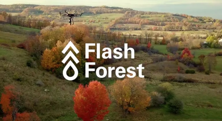 Flash Forest and Tree Planting With Drones | NextBigFuture.com