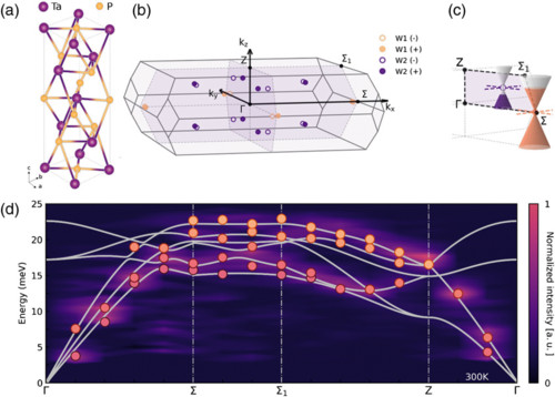 Kohn Anomalies in New Material Could Lead to New Quantum Devices ...