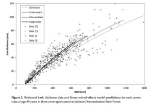 Redwood Tree Bark Thickness and Fire Resistance | NextBigFuture.com