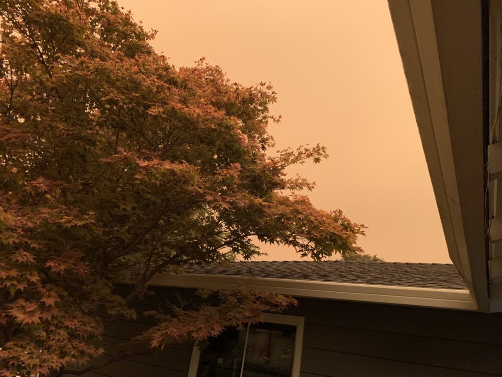 Blade Runner 2049 Orange Sky and California's Orange Sky ...