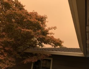 Blade Runner 2049 Orange Sky and California's Orange Sky ...