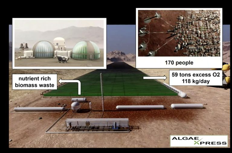 Algae for Fuel Production on Mars | NextBigFuture.com
