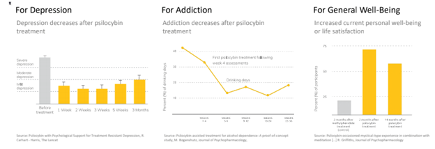 Secret Compound In Ancient Aztec Medicine Could Be Big Pharma’s Dream ...