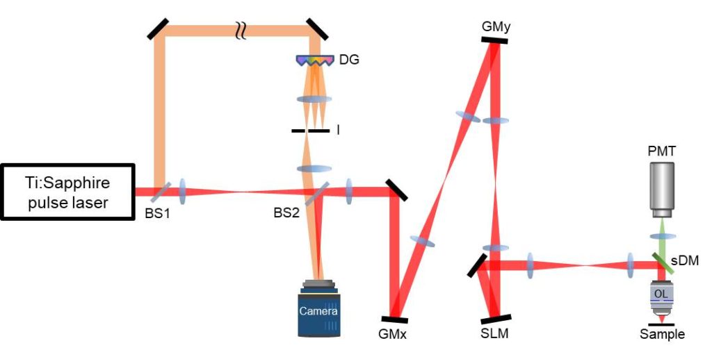 High Resolution Scanning Into Deep Tissue by Reconstructing Scattered ...