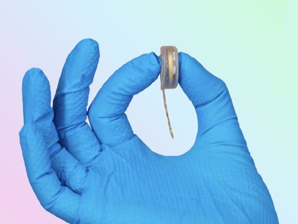 Monkey with Neuralink Brain Interface | NextBigFuture.com