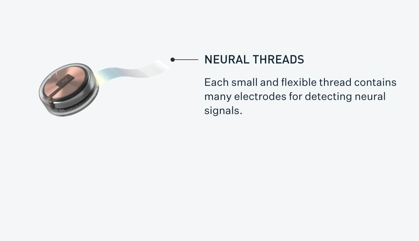 Monkey with Neuralink Brain Interface | NextBigFuture.com