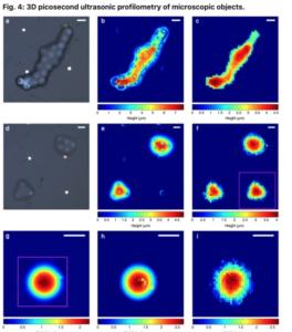 Cellular Imaging from Phonon Imaging on a Fiber Probe | NextBigFuture.com
