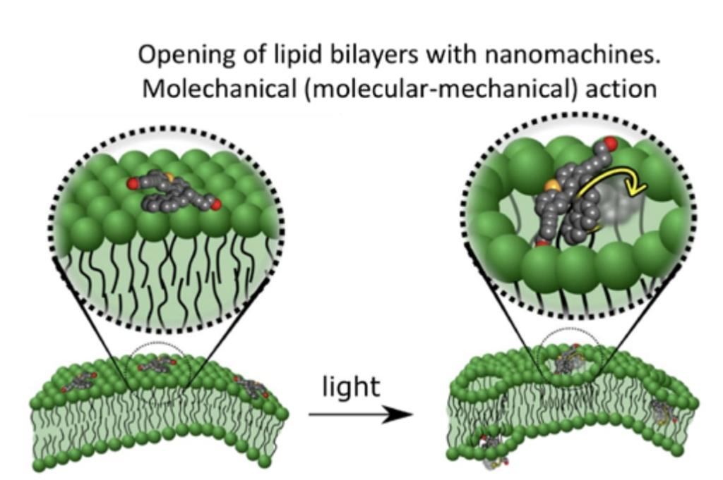 Molecular Electronics Commercializer Next Target is Molecular Robots ...
