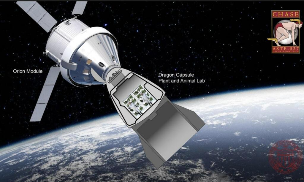 Buzzcraft for Earth Moon Cycler Transport | NextBigFuture.com