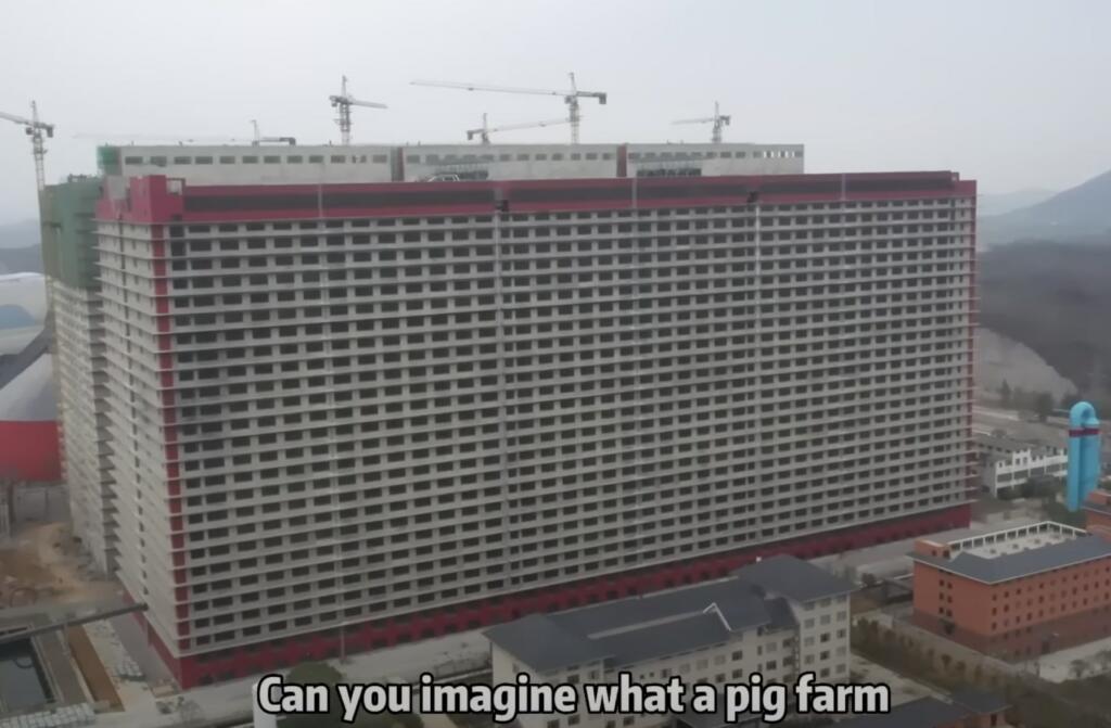 26 Story Pig Farm in China for Over 1 million Pigs | NextBigFuture.com