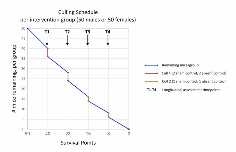 Robust Mouse Rejuvenation Study Started | NextBigFuture.com