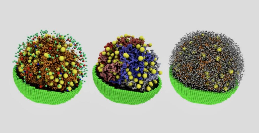 Detailed 3D Simulation of a Living Human Cell | NextBigFuture.com