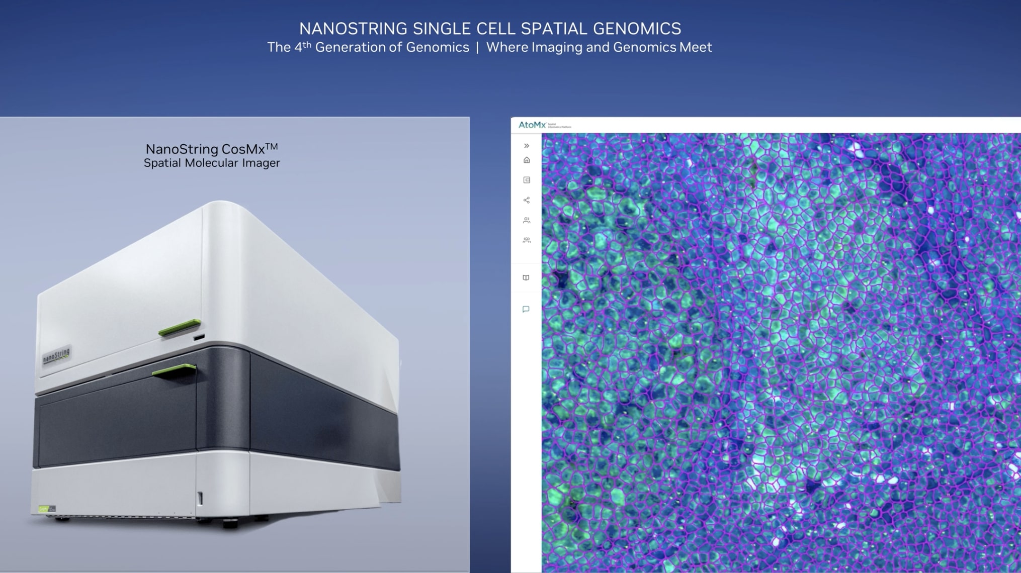 Nvidia Generative AI Models for Medical Imaging | NextBigFuture.com