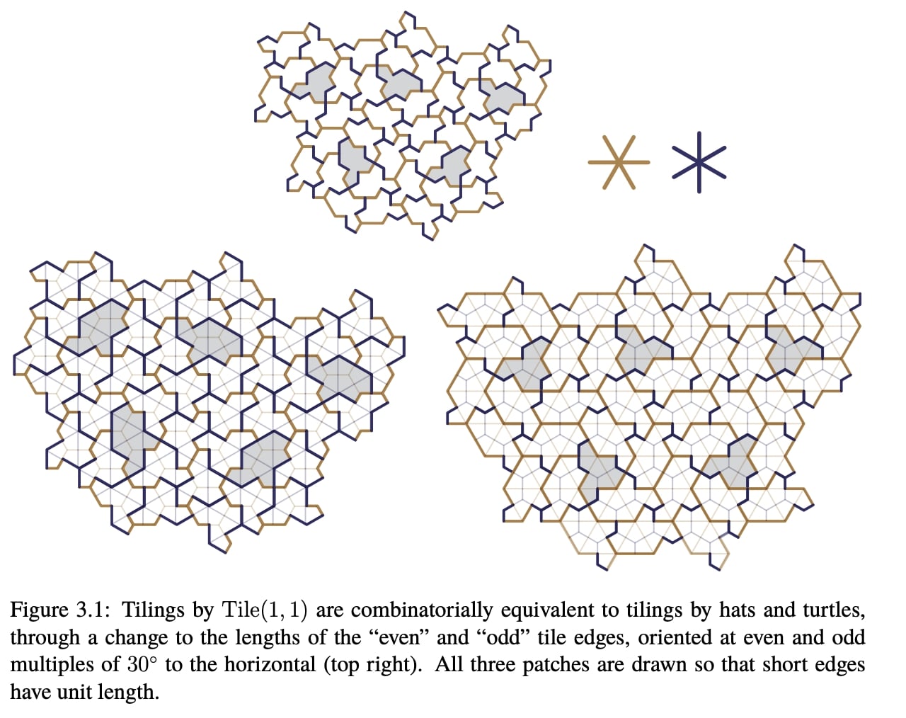 New 13 Sided and 14-Sided Shapes Can Tile Infinite Surfaces ...