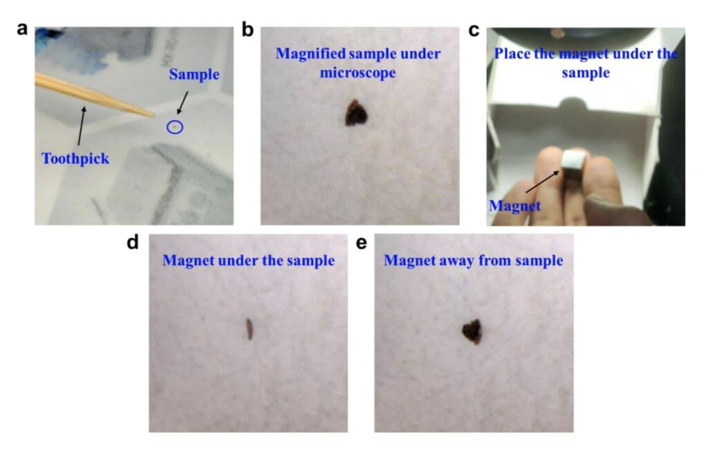 China Science Preprint Paper Claims Successful LK-99 Replication and ...