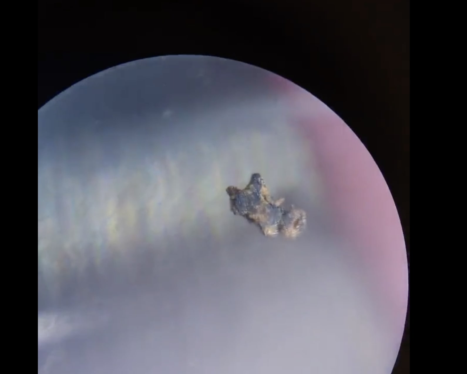 Bigger and Better LK99 Replication Sample from Andrew McCalip and Varda ...