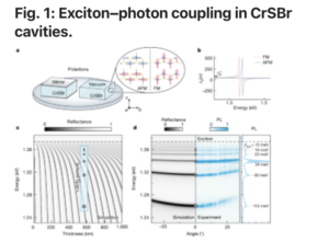 Metamaterials Trap Light in a Magnet Could Lead to Optically Controlled ...