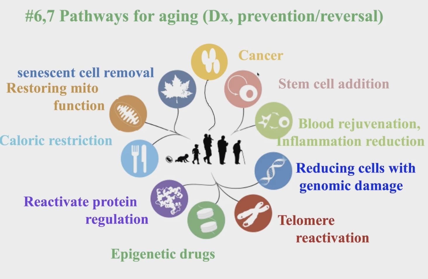 Starting Human Clinical Trials for Combo Antiaging Genome Engineering ...