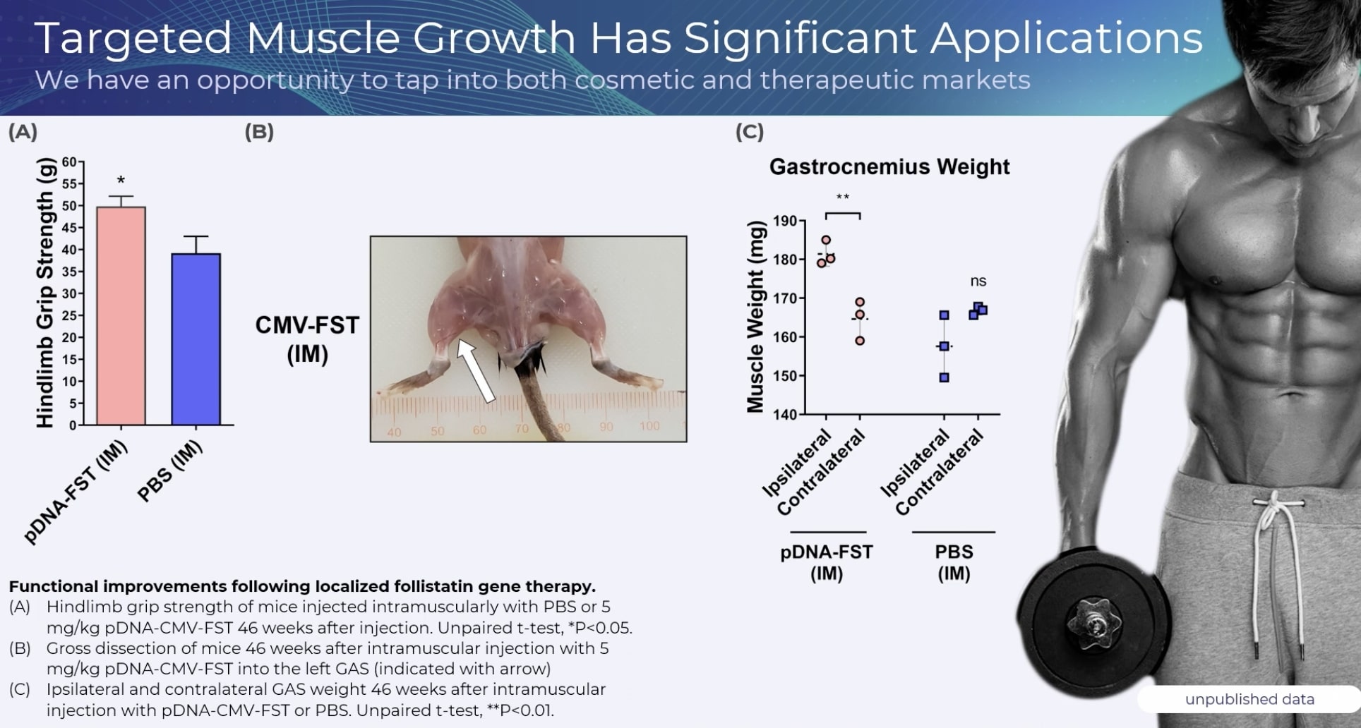 Oisin Biotech Can Apply Seperate Gene Therapies to Build Muscle and ...
