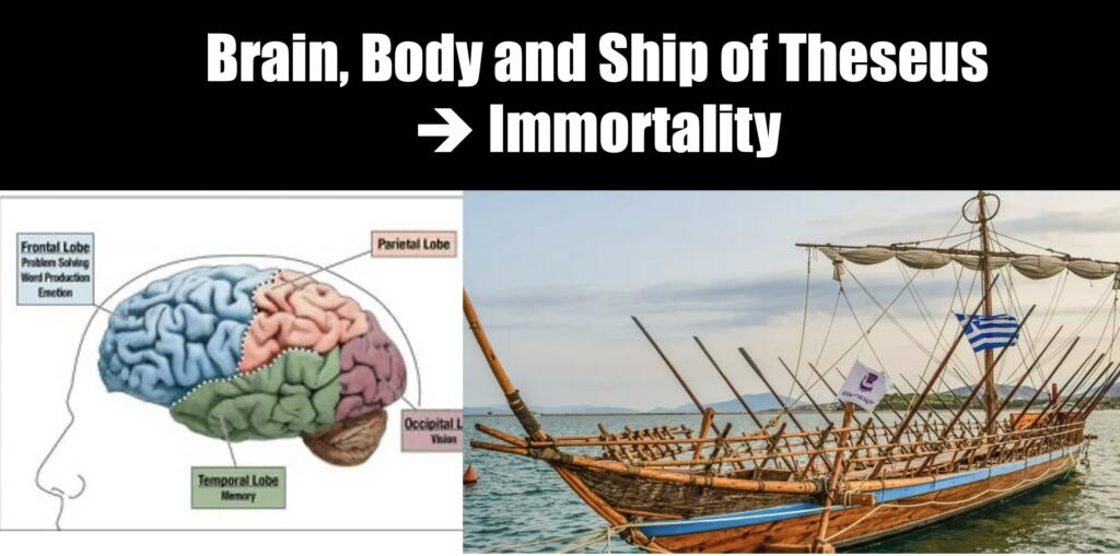 Brain, Body and Ship of Theseus | NextBigFuture.com