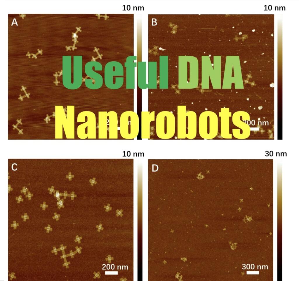 Breakthrough Demo of 3D DNA Industrial Nanorobots Manufacturing ...