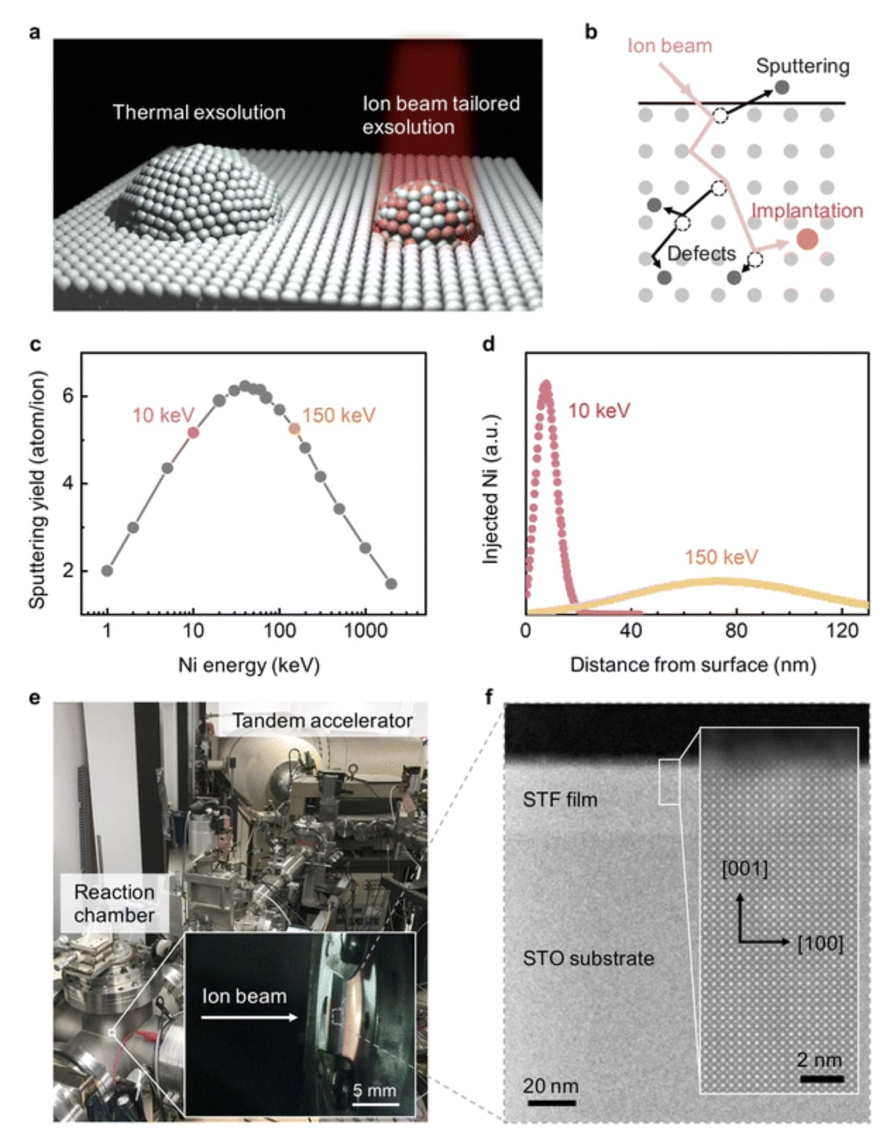 Controlling the Size, Composition and Dispersion of Metal Nanoparticles ...
