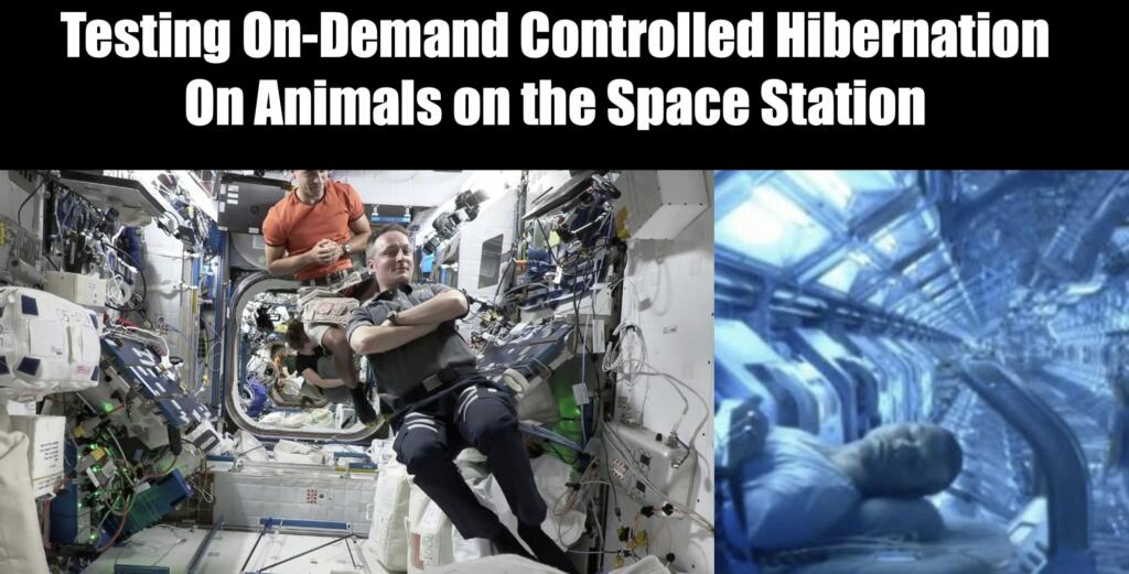 Plan to Test Induced Hibernation on Animals on the Space Station ...