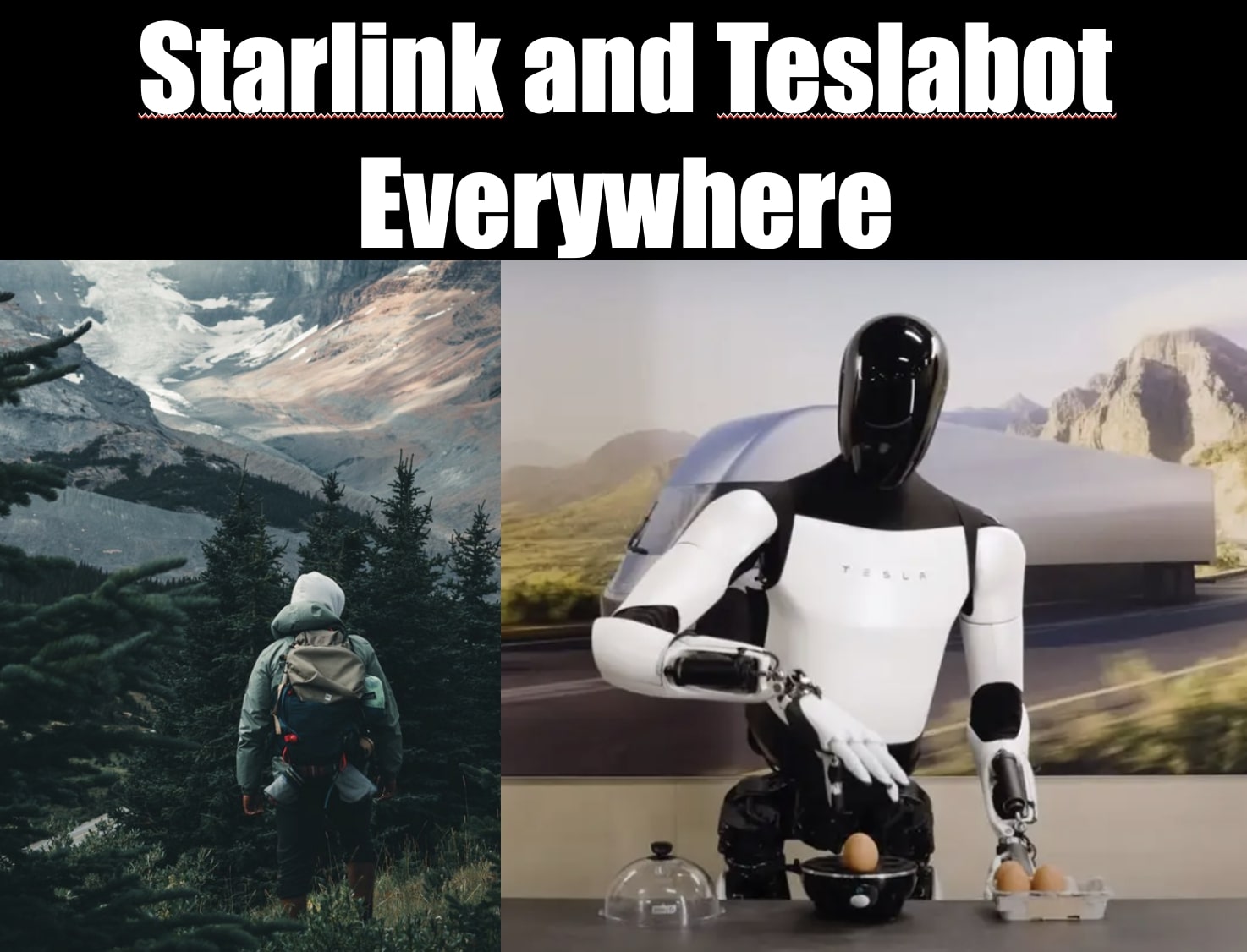 Starlink Mini and Connected Teslabots, Tesla Cars Everywhere ...