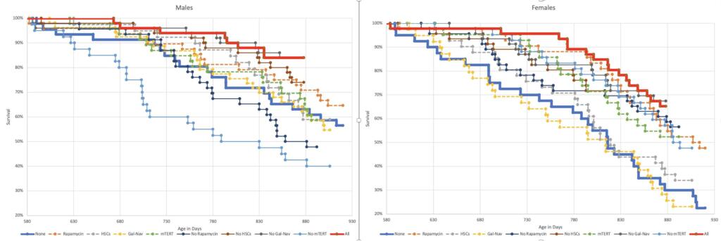 UPDATE LEV Foundation - Four Combined Life Extension Therapies Trying to Double Remaining Life ...