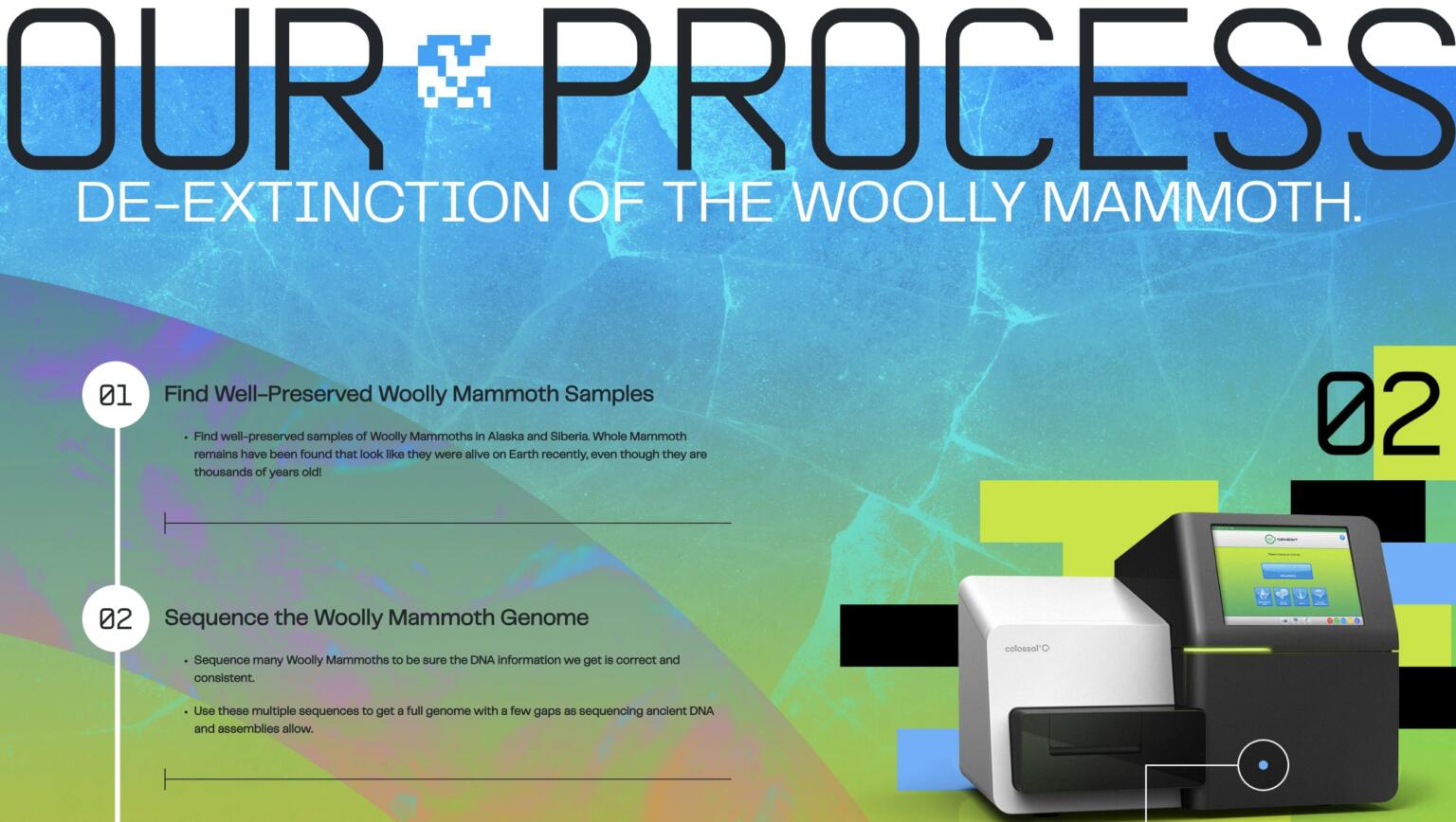 Elephant Stem Cells Made in the Plan to Bring Back the Woolly Mammoth ...