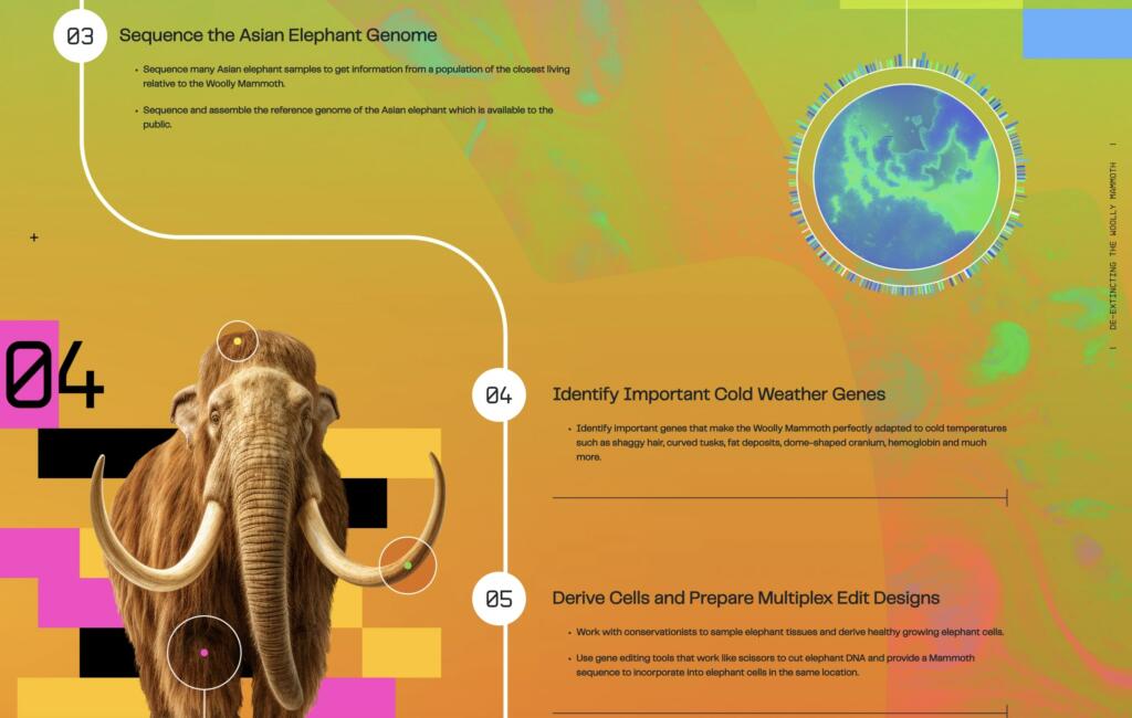 Elephant Stem Cells Made in the Plan to Bring Back the Woolly Mammoth ...