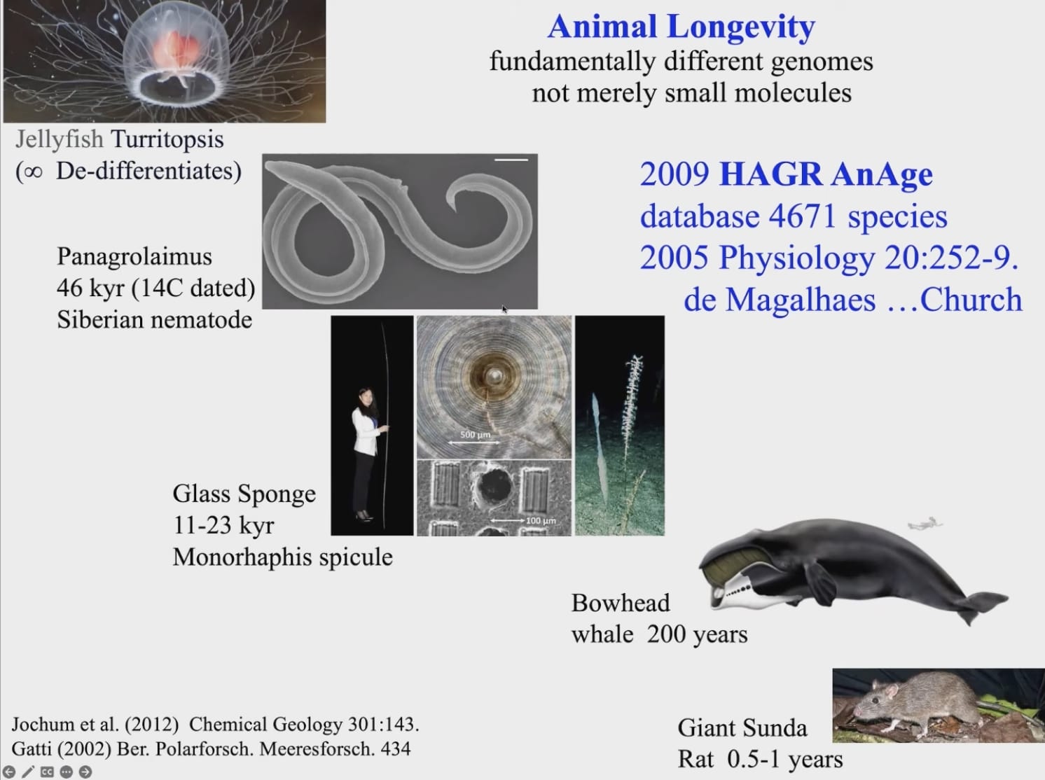 Gene Editing and Radical Life Extension | NextBigFuture.com