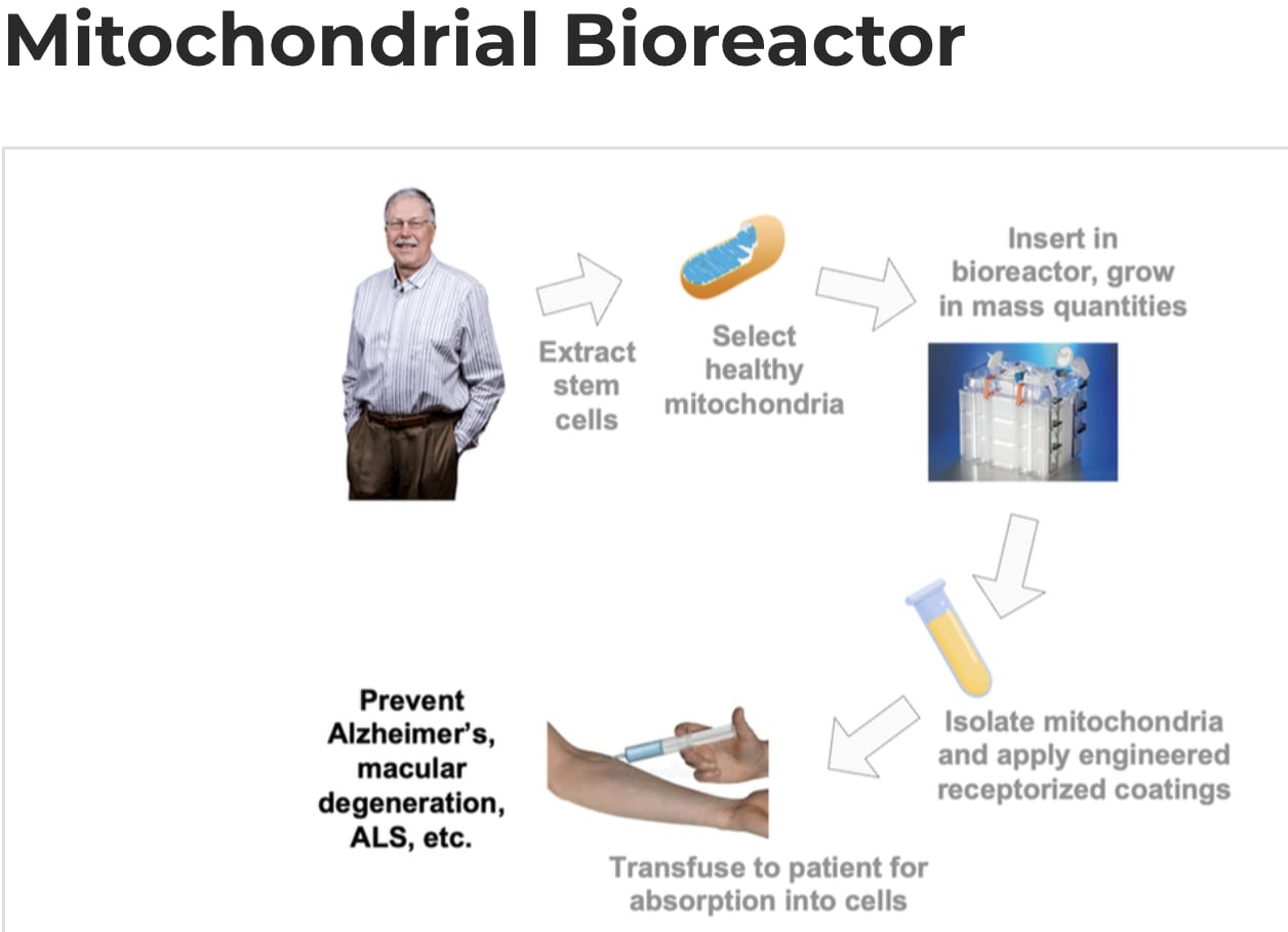Mitrix Bio Leveraging Mitochondria Transfer for Antiaging ...