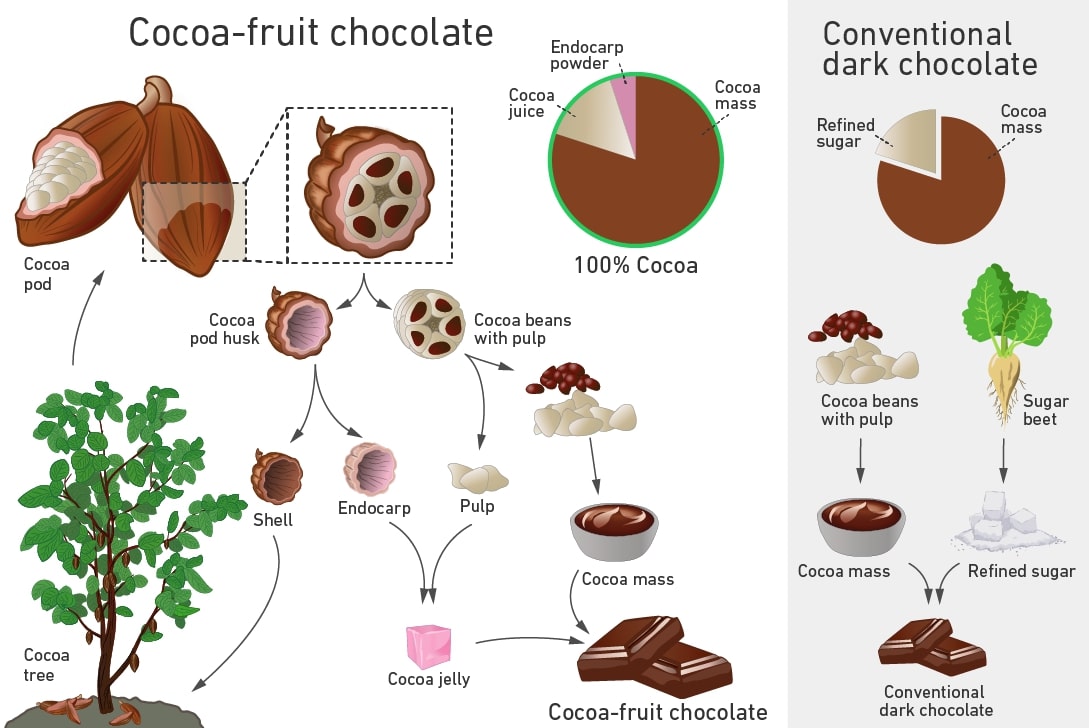Swiss Scientists Make Healthier Chocolate Using More of the Cocoa Fruit ...