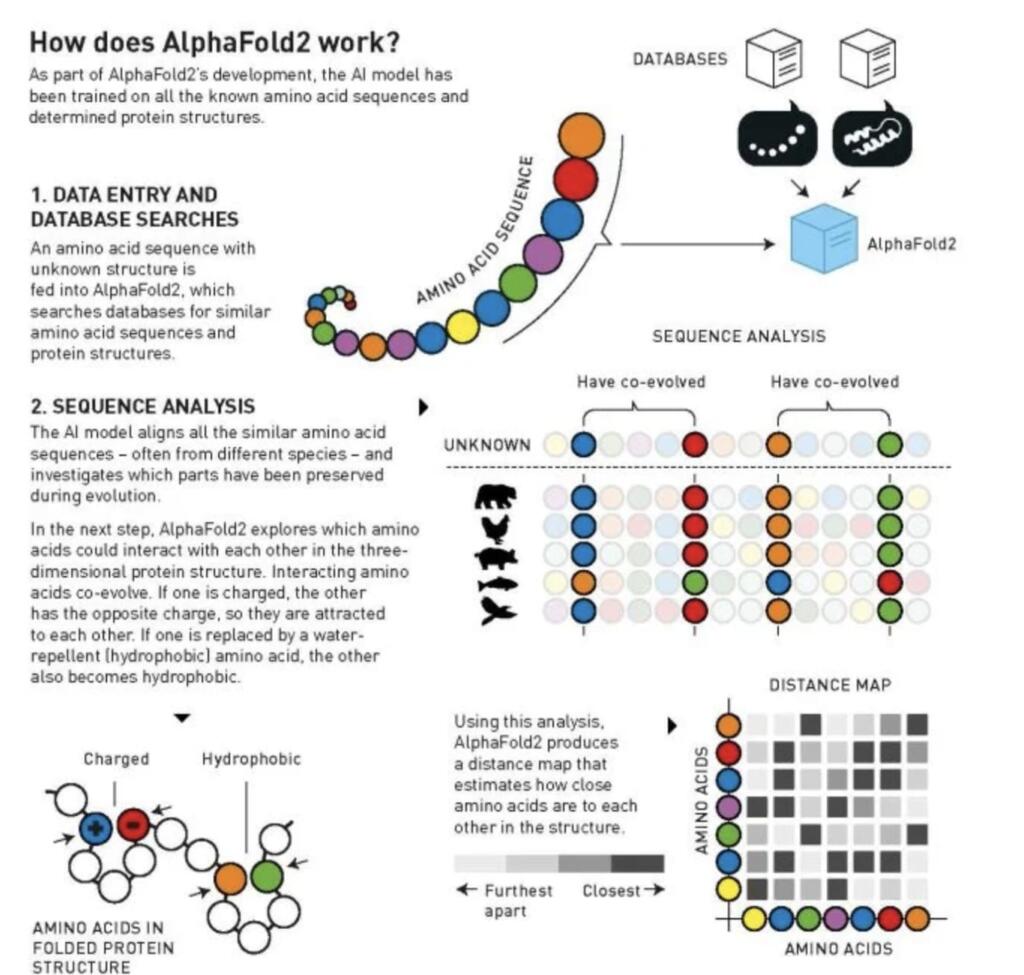 Nobel Prize in Chemistry for Solving Protein Folding in Minutes With AI ...