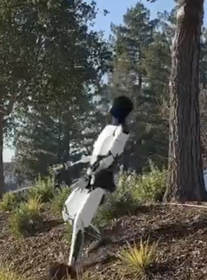 Tesla Optimus Bot Walks Up and Down Hills | NextBigFuture.com