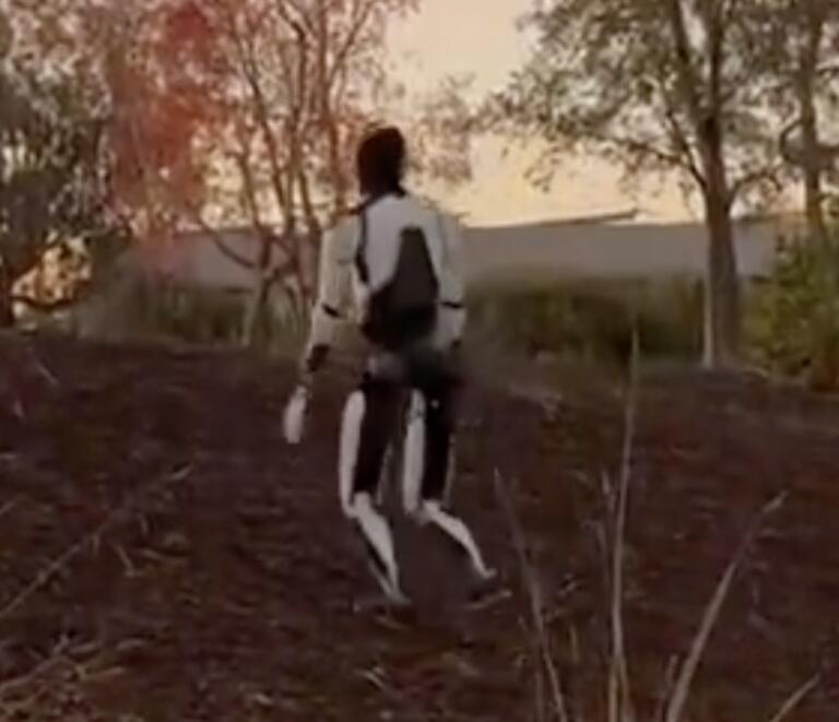 Humanoid Robot Nextbigfuture