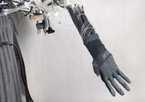 Poland Clone Robotics Make Liquid Muscled Synthetic Copy of the Human ...