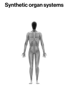 Poland Clone Robotics Make Liquid Muscled Synthetic Copy of the Human ...