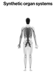 Poland Clone Robotics Make Liquid Muscled Synthetic Copy of the Human ...